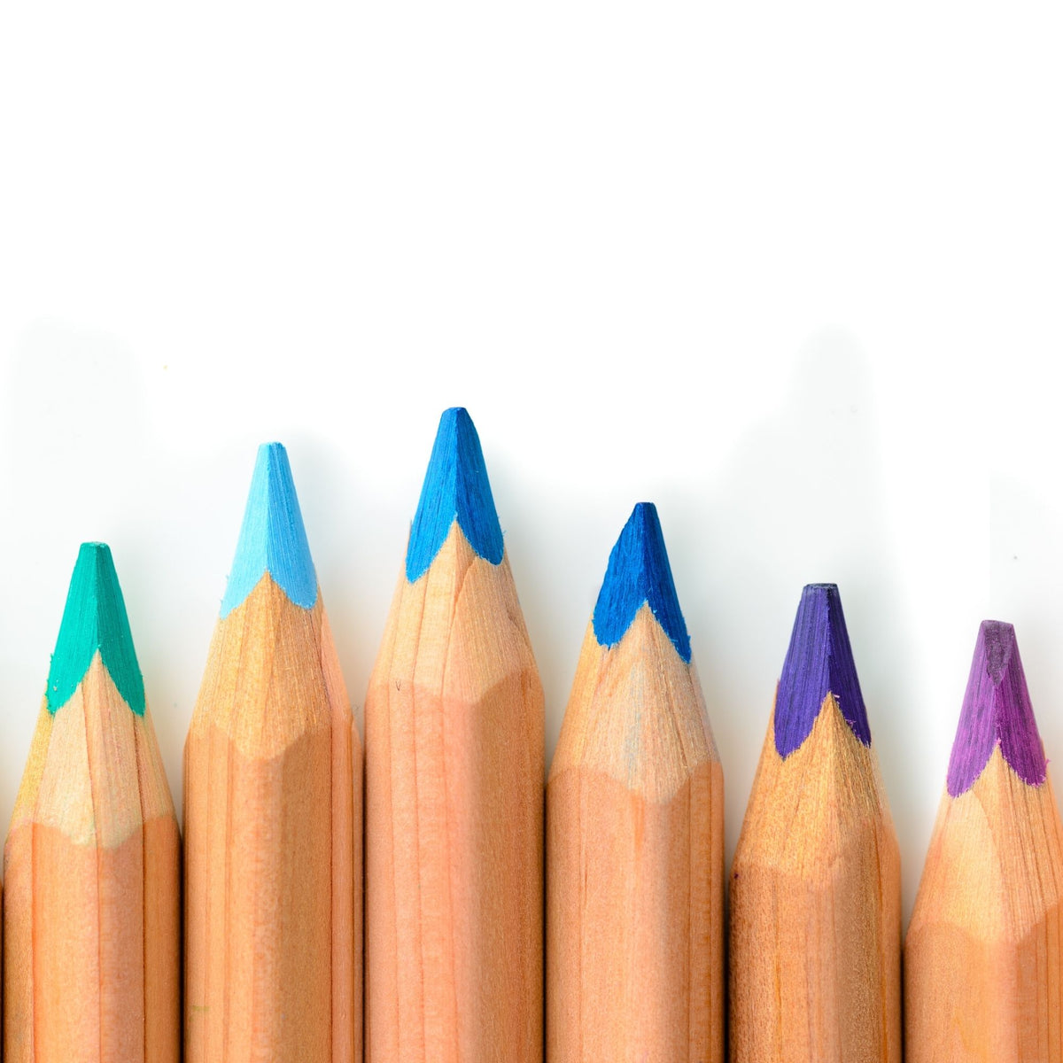 Inclusive Colouring Pages – The Opal Season Company